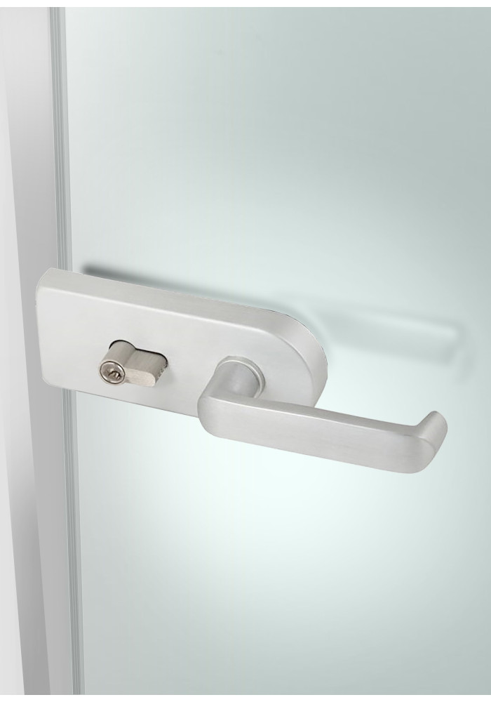 Usa sticla securizata cu toc sticla mata model STUDIO SILVER